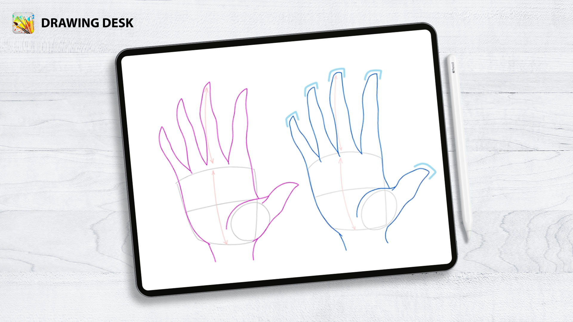 Draw unique anime style proportions and characters like an artist